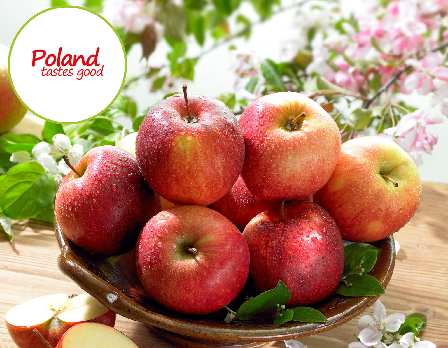 Poland – The honored country in Freskon - FRESKON